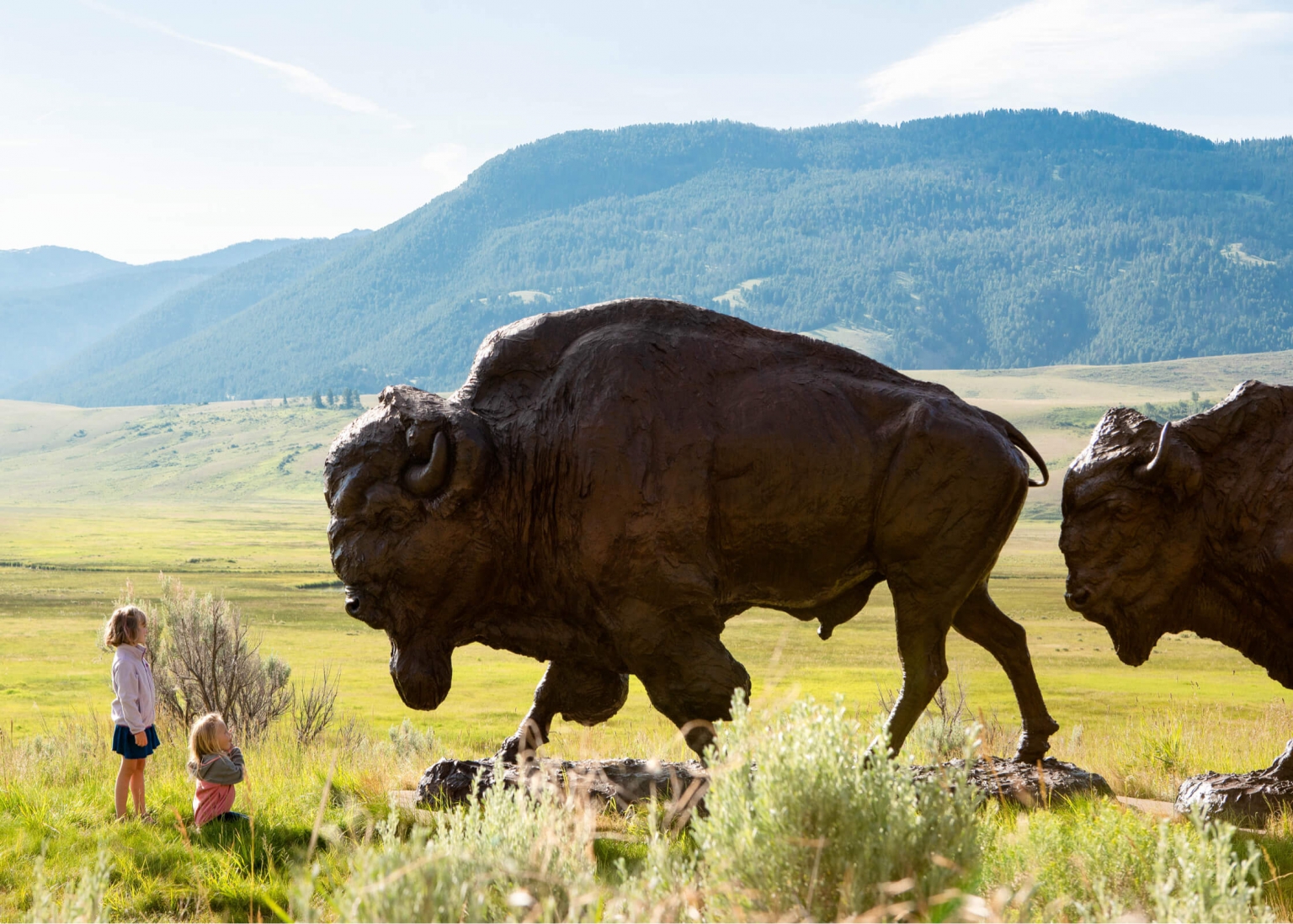 National Museum of Wildlife Art | Art Collection, Jackson Hole, Wy