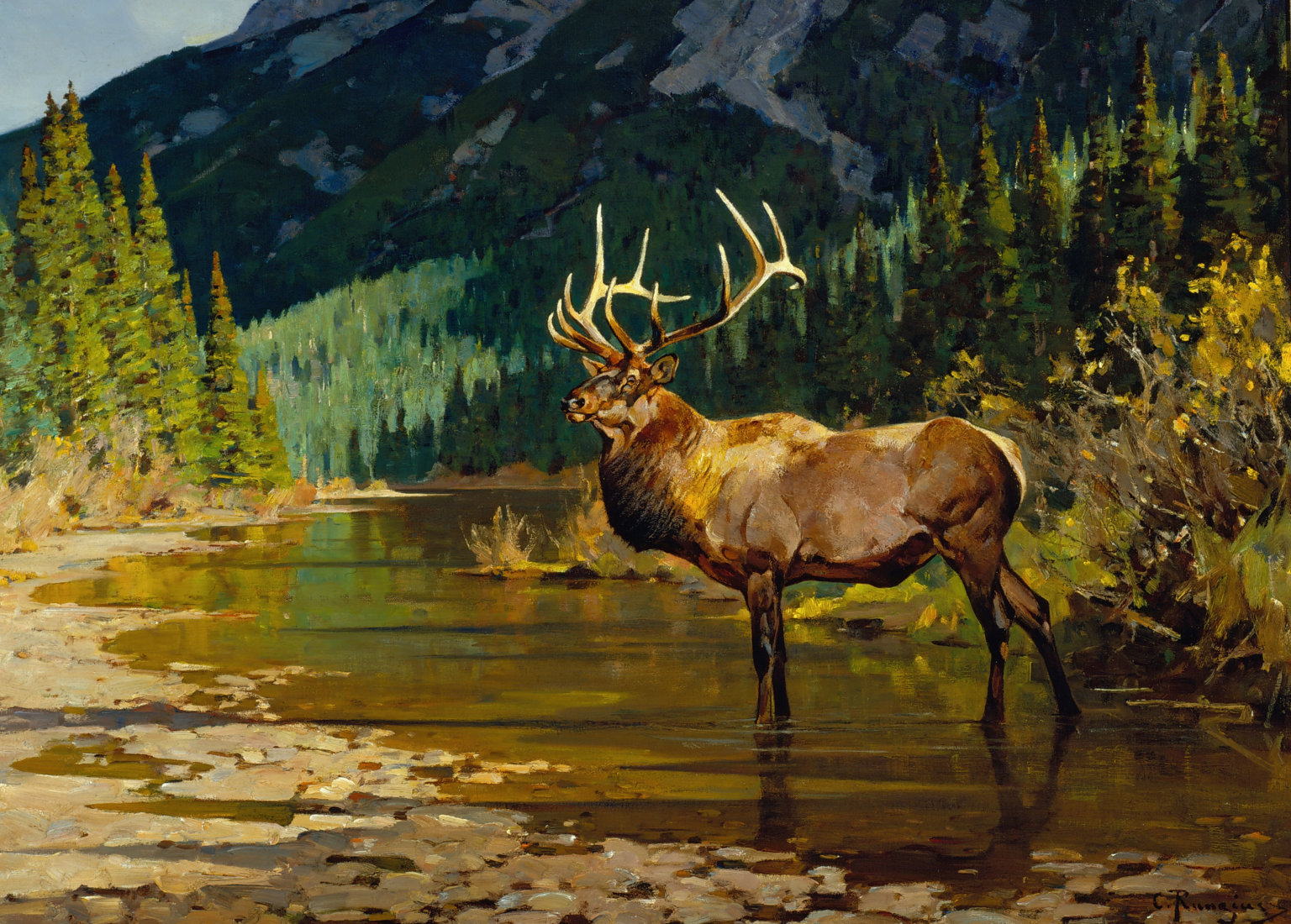 Carl Rungius Catalogue Raisonné - National Museum of Wildlife Art