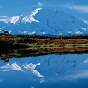 Nature Photography, Thomas Mangelsen: A Life in the Wild