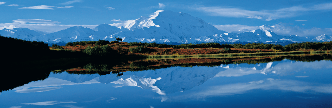 Nature Photography, Thomas Mangelsen: A Life in the Wild