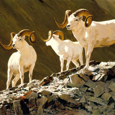 Living Legends | Discovering the Masters of Wildlife Art